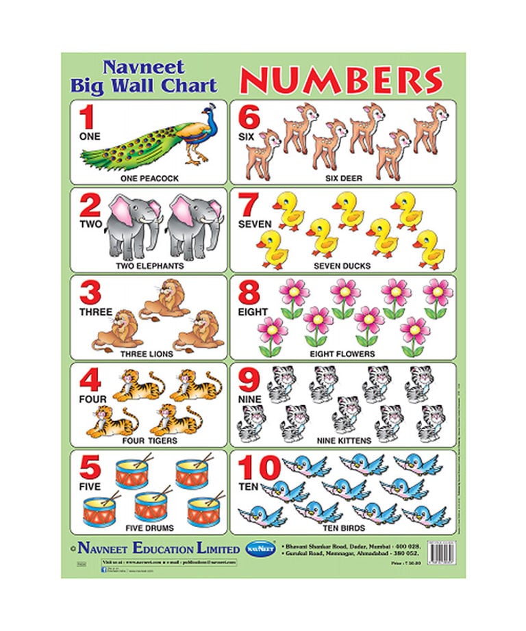 Buy Navneet Numbers Big Wall Chart for Online In India • Kheliya Toys