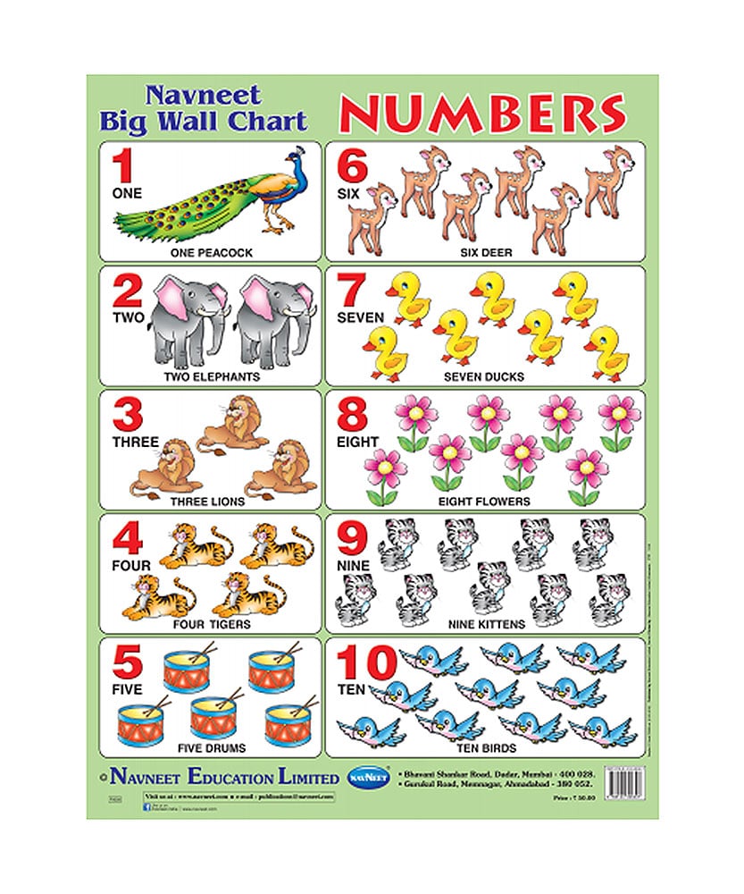 Buy Navneet Numbers Big Wall Chart for Online In India • Kheliya Toys