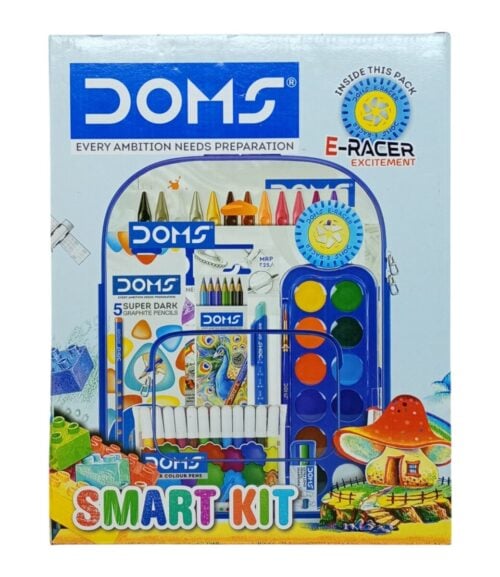 Buy DOMS Smart Kit | Comes With Transparent Zipper Bag | Kit For School ...
