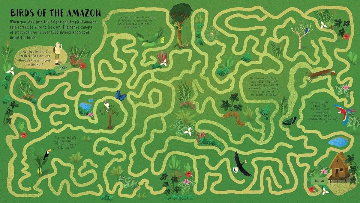 Buy Arcturus Animal Mazes 45 Wild Mazes Packed With Nature Facts Book ...