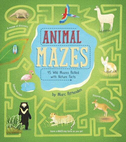 Buy Arcturus Animal Mazes 45 Wild Mazes Packed With Nature Facts Book ...