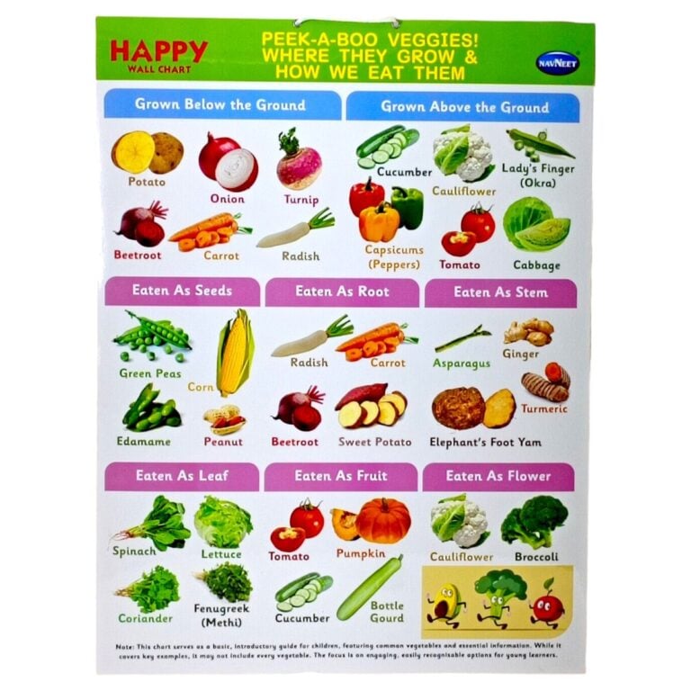 Buy Navneet Happy Wall Chart - Vegetables ( Lamination ) For Kids | 3 ...